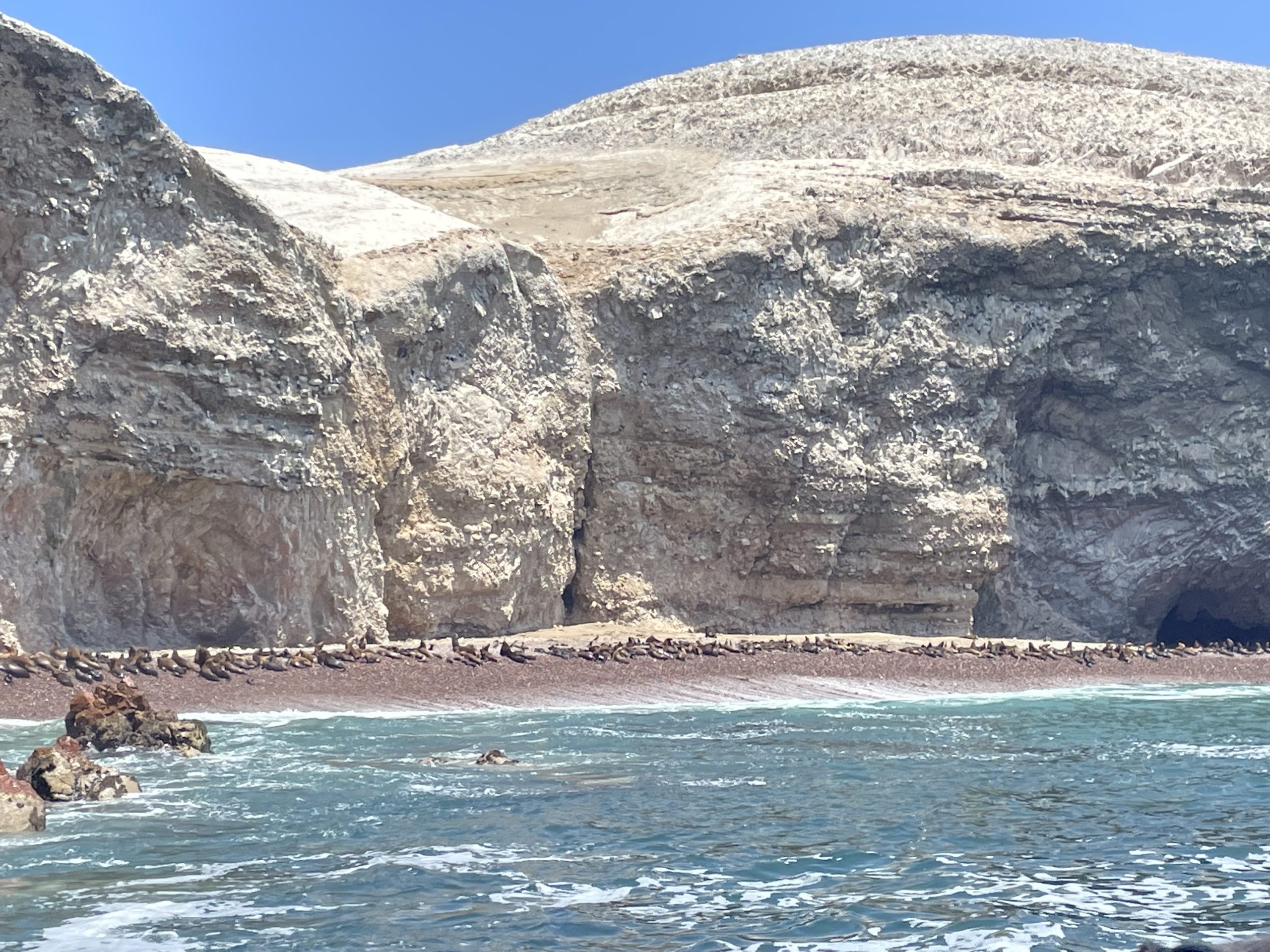 Paracas e isole Ballestas : Trottole in Viaggio